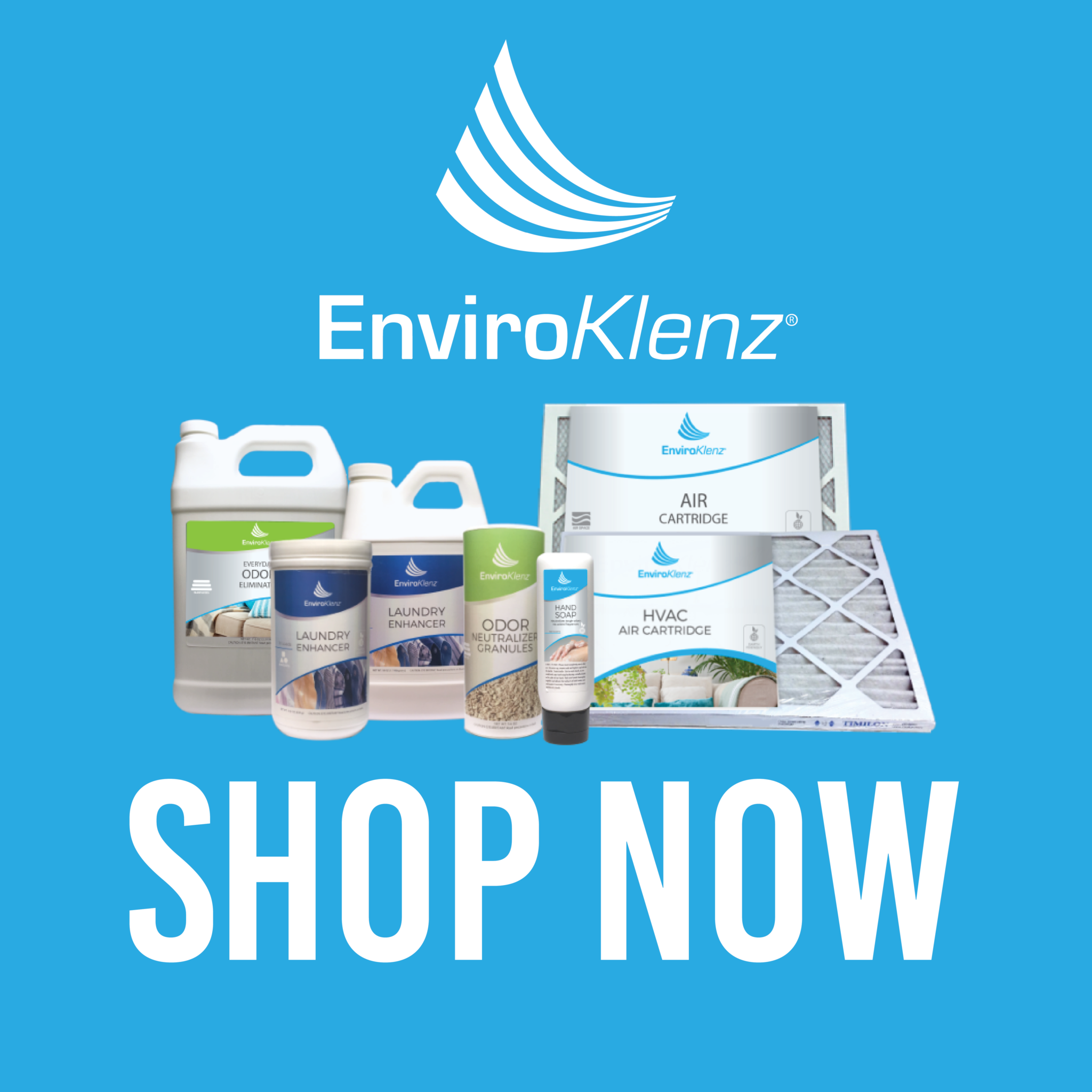 How to Identify Common Types of Household Molds - EnviroKlenz