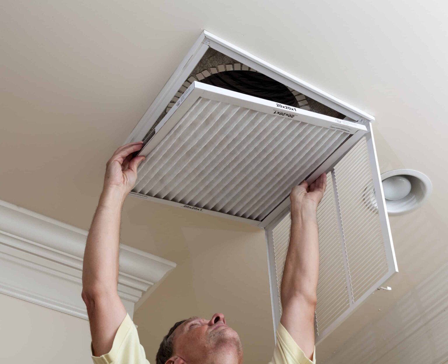Best Air Filter For Allergies: How To Reduce VOCs Exposure