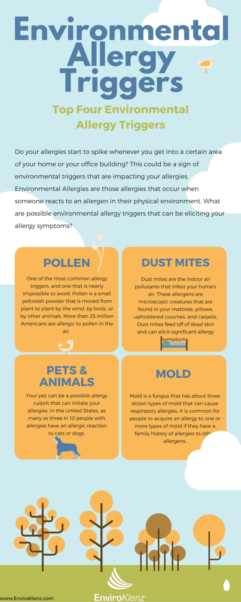 Environmental Allergies: Can You Have Allergic Reactions to Mold