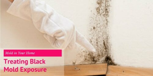 Mold in Your Home and Treating Black Mold Exposure - EnviroKlenz