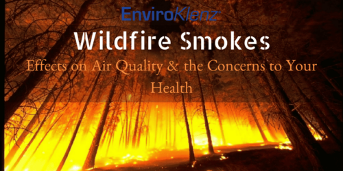 Wildfire Smokes Effects on Air Quality & Concerns to Your Health
