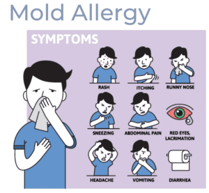 Tips To Reduce Mold Spore Allergies Indoors EnviroKlenz