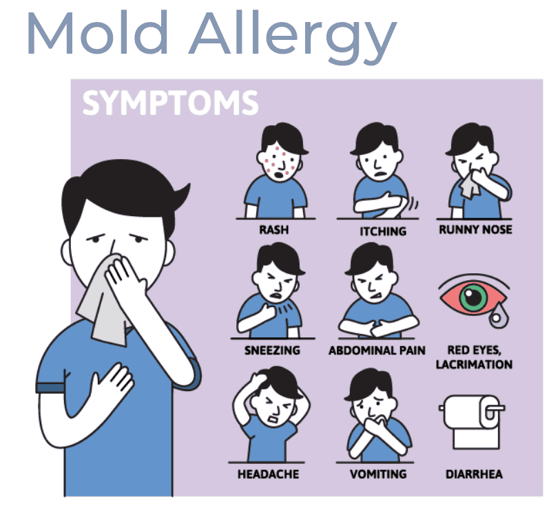 Tips to Reduce Mold Spore Allergies Indoors - EnviroKlenz