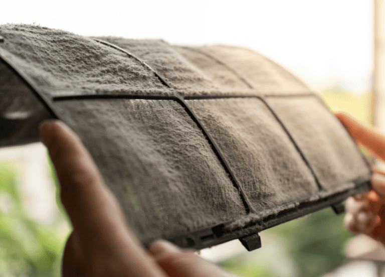 Everything to Know About Dust and Dander Allergies - EnviroKlenz