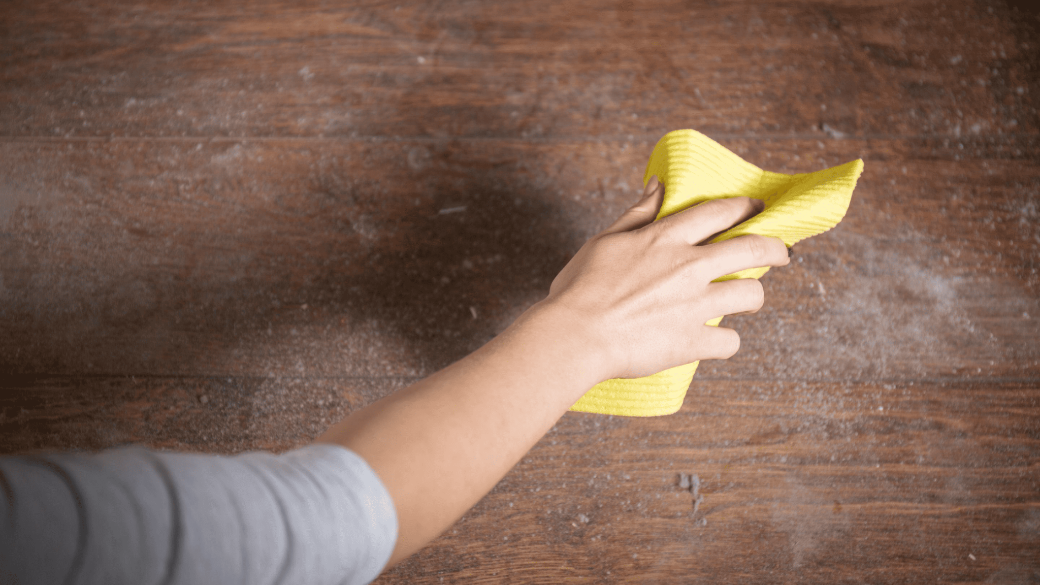 What Makes Indoor Dust and Dander Levels High? - EnviroKlenz