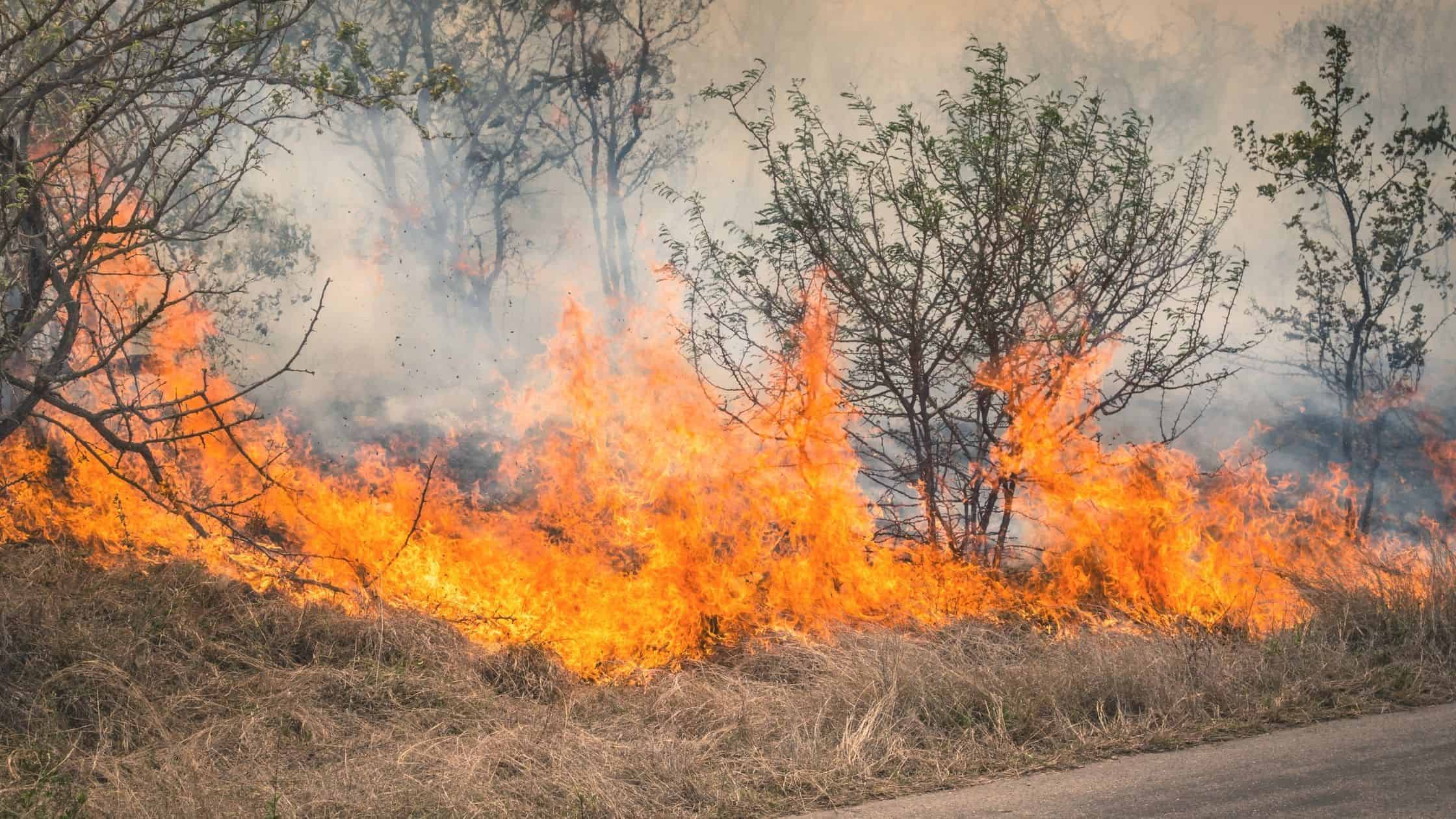 The Impact of Wildfire Smoke on Indoor Air Quality - EnviroKlenz