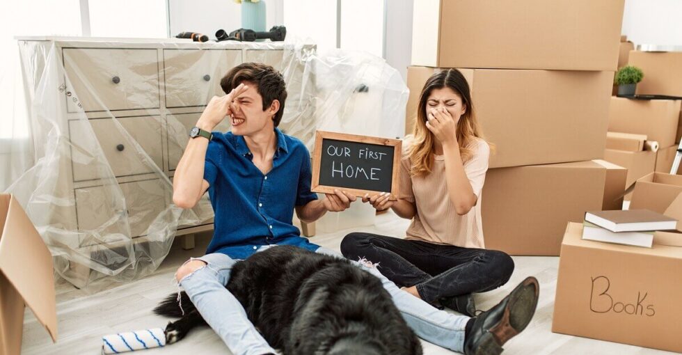 How To Get Rid Of Old House Smell - All You Need To Know - EnviroKlenz