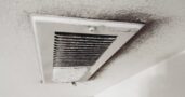 Black Mold vs Dust in Your Home – What’s the Difference - EnviroKlenz