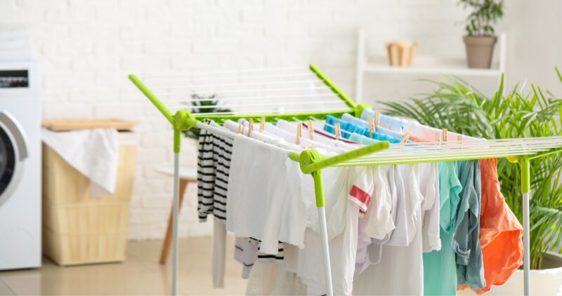 How to Remove Musty Smells from Stored Items & Old Clothes - EnviroKlenz
